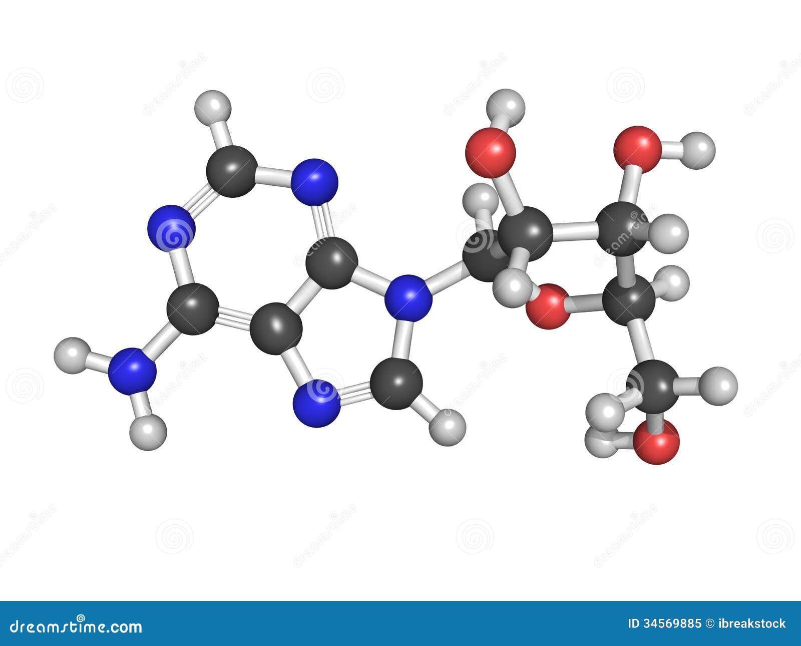 Adenosine (a) Nucleoside Molecule, Chemical Structure. this is O Stock ...
