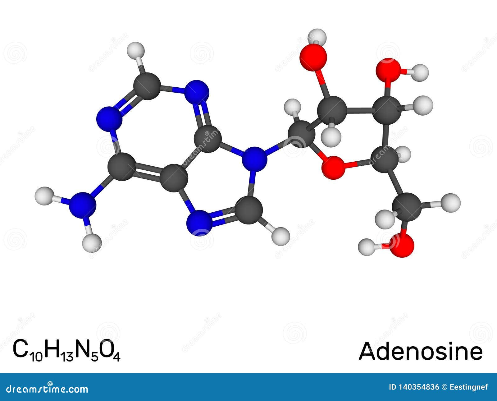 Adenosine, Nucleoside, Neurotransmitter Model Molecule Stock Vector ...