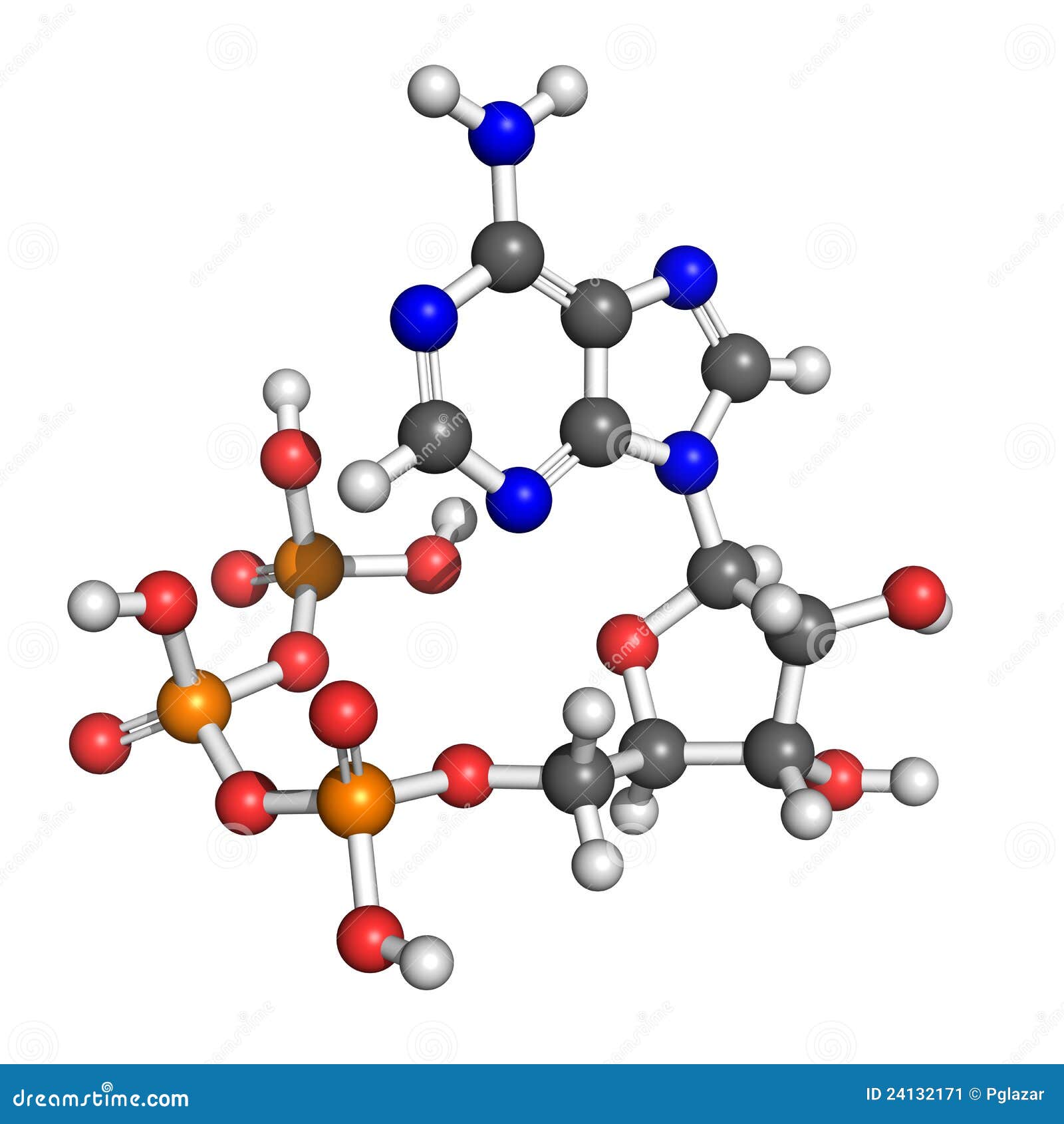 Adenosine Trifosfaatstructuur Stock Illustratie - Illustration of ...