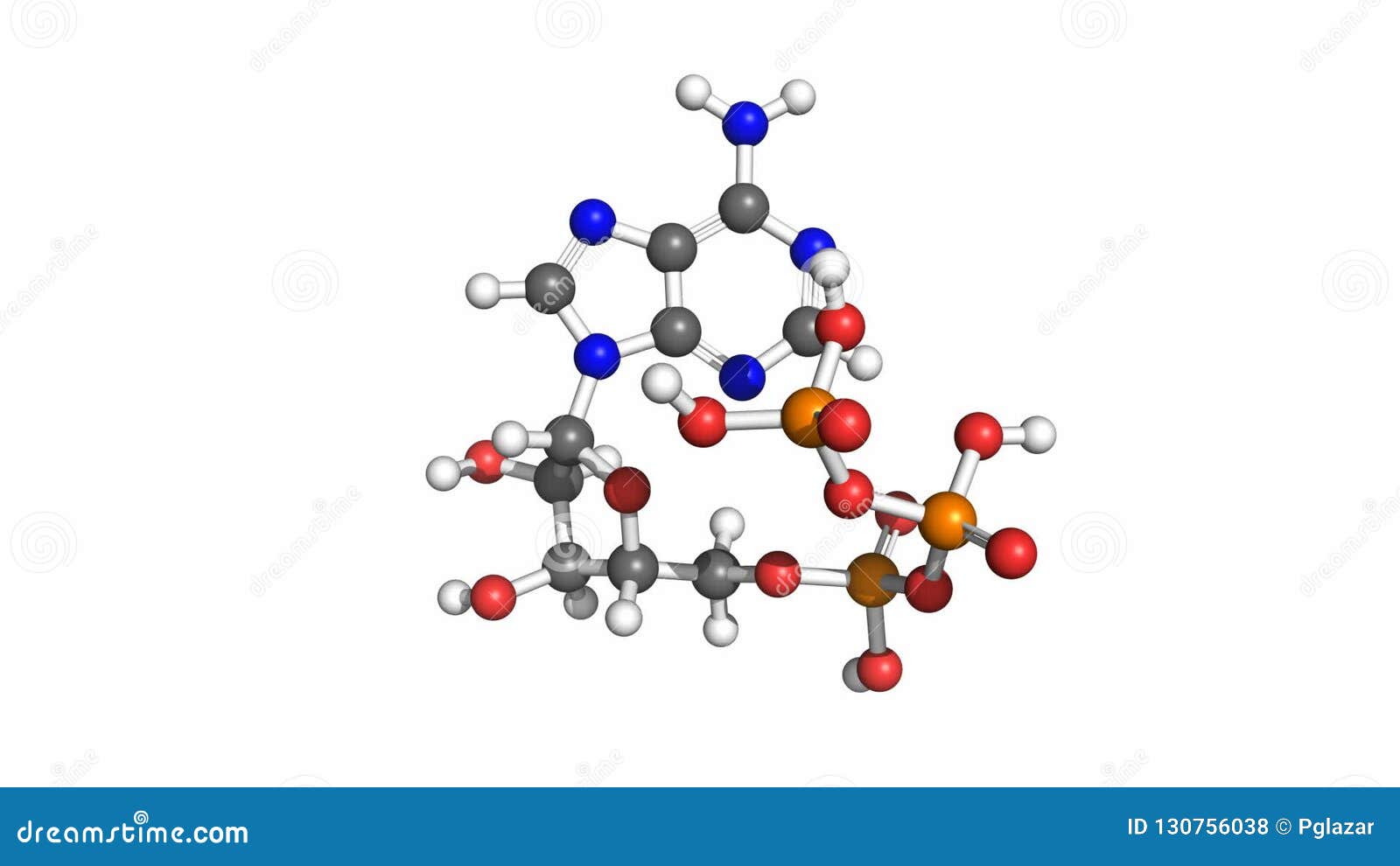Adenosine-5`-triphosphate ATP, Rotating Model Stock Footage - Video of ...