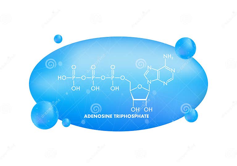 Adenosine Triphosphate Chemical Formula Floating on Blue Scientific ...