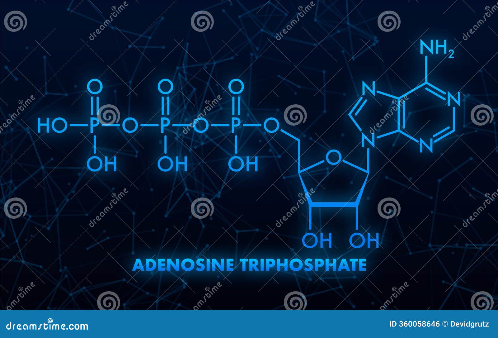 Adenosine Triphosphate Structure Royalty-Free Stock Image ...
