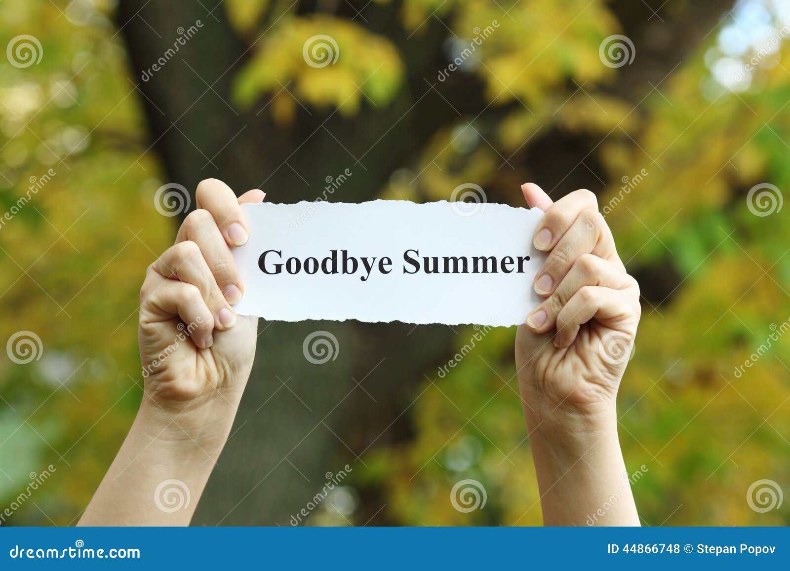 Adeus verão foto de stock. Imagem de texto, outono, papel - 44866748