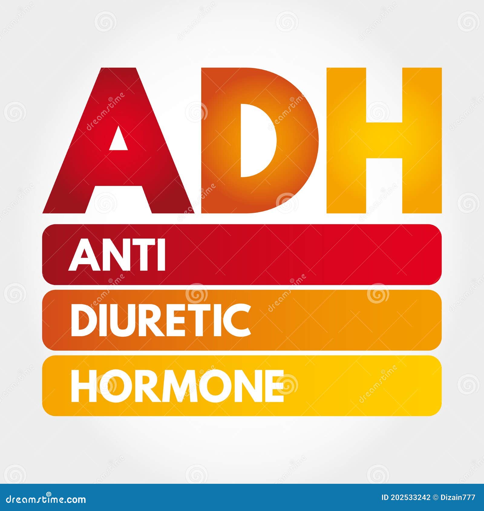 ADH - Antidiuretic Hormone Acronym, Concept On Blackboard Royalty-Free ...