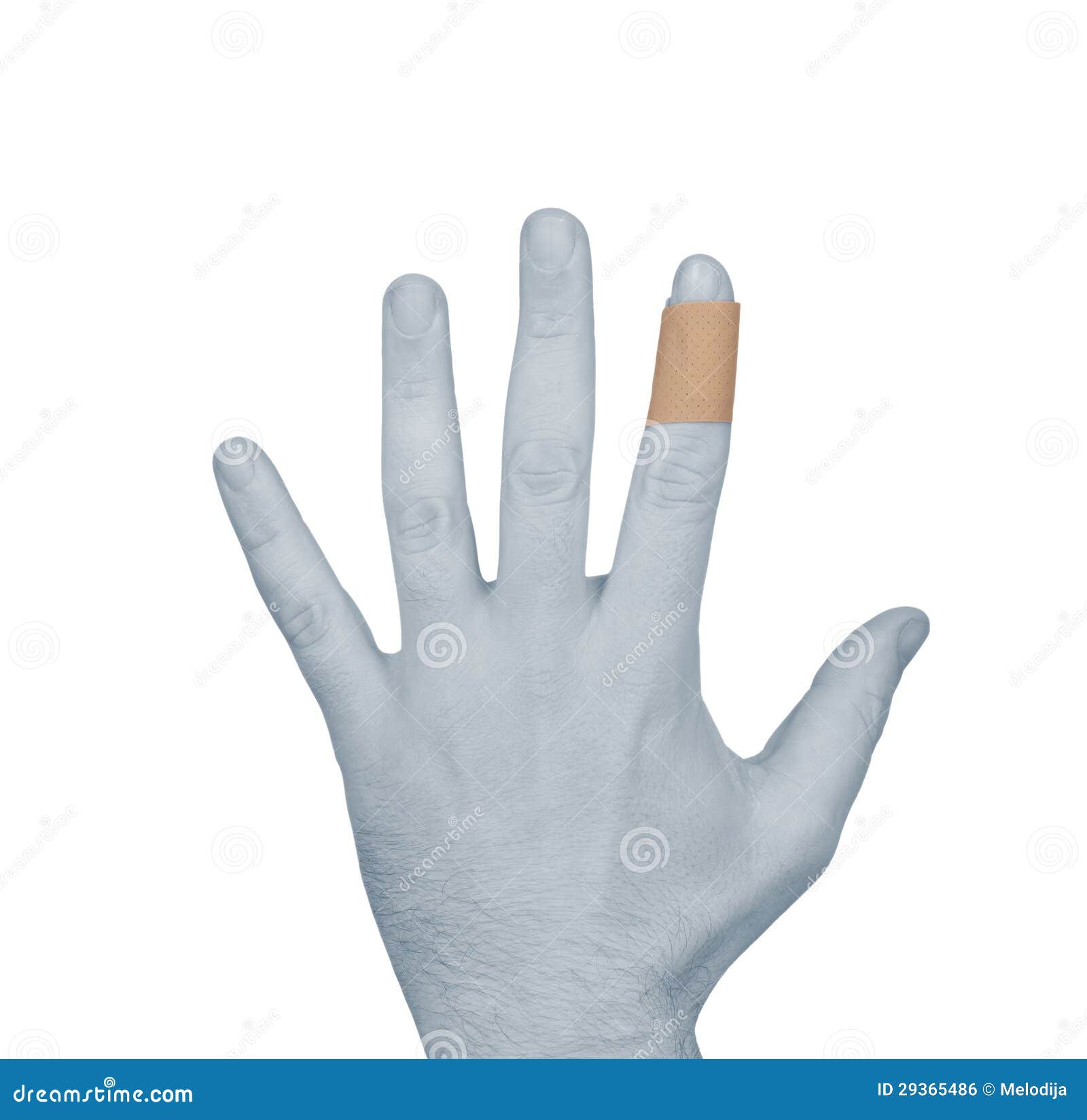 Adhesive Bandage Plaster on the Finger. Stock Photo - Image of adult ...