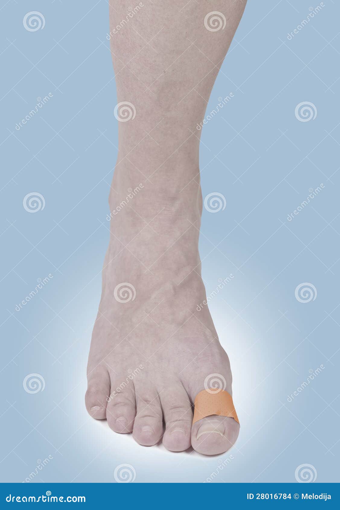 Adhesive Healing Plaster on Foot Finger. Stock Photo - Image of band ...