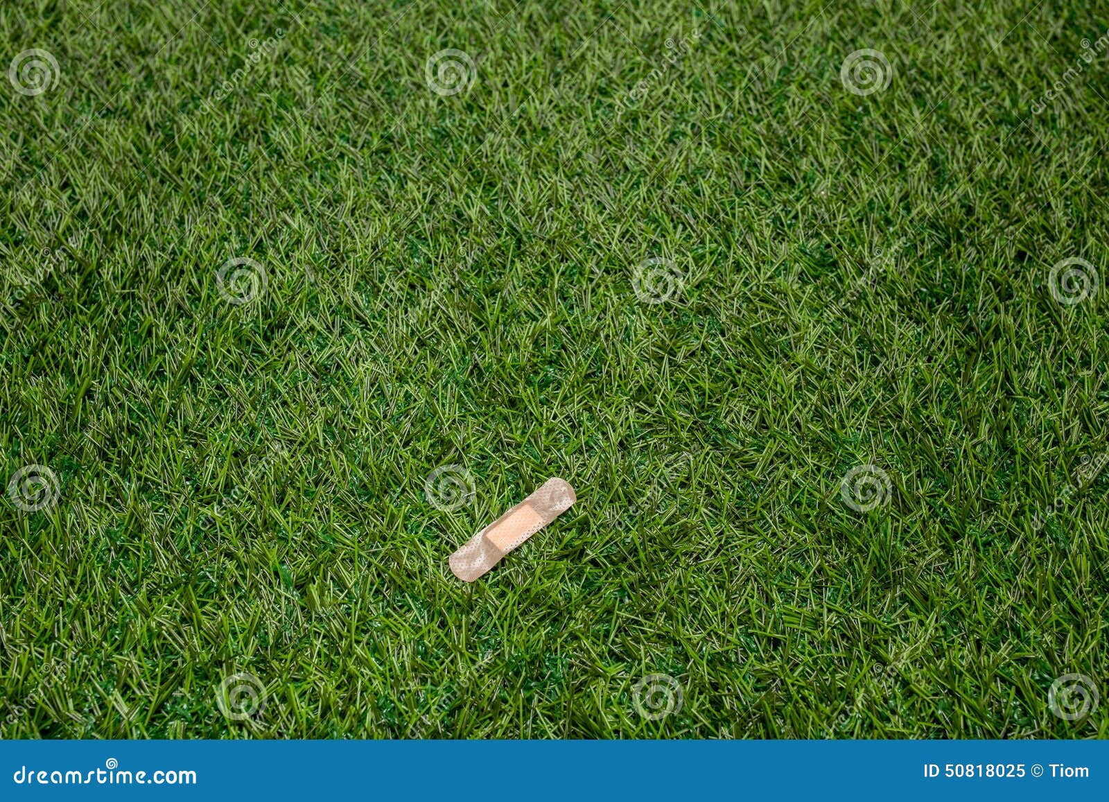 Adhesive Plaster Sticked To Grass Stock Image - Image of grass, sticky ...