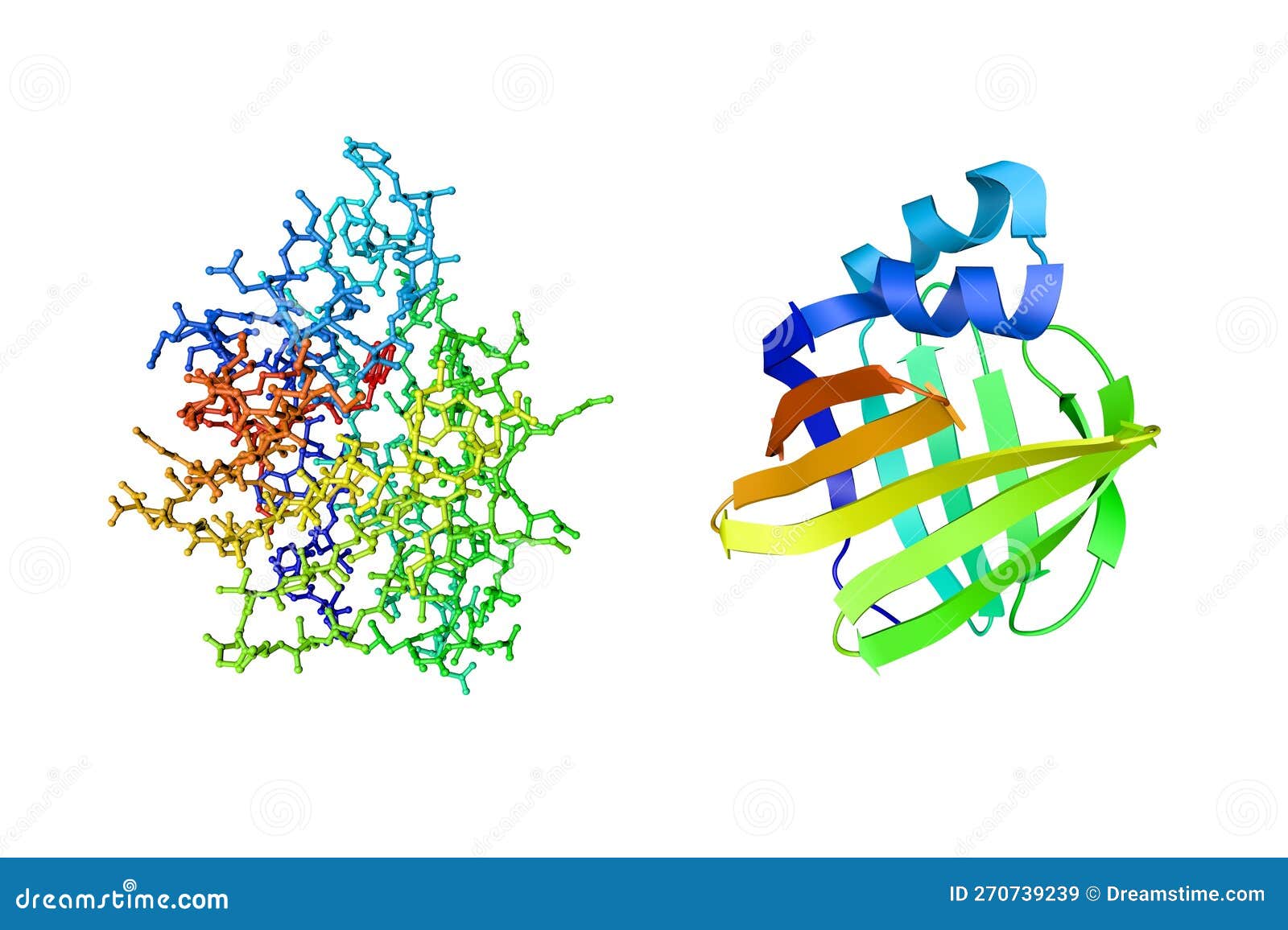 Adipocyte Fatty Acid Binding Protein With Carboxylic Acid Ligand