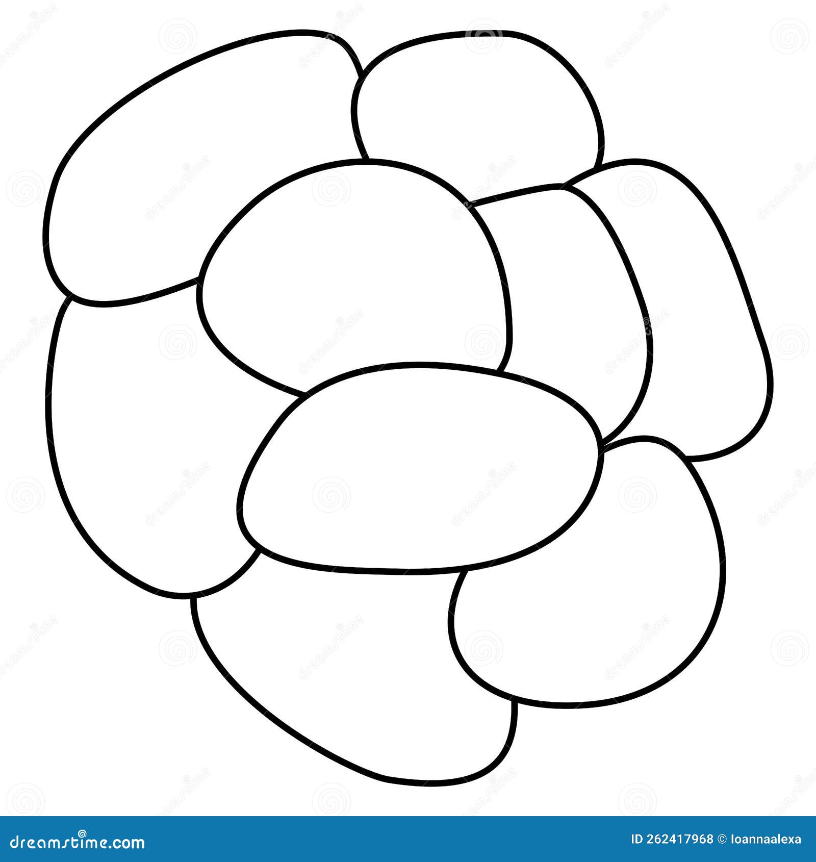 Adipocytes or Lipocytes and Fat Cells. Modern Minimal Thin Line Vector ... Adipocytes or Lipocytes and Fat Cells. Modern Minimal Thin Line Vector ...