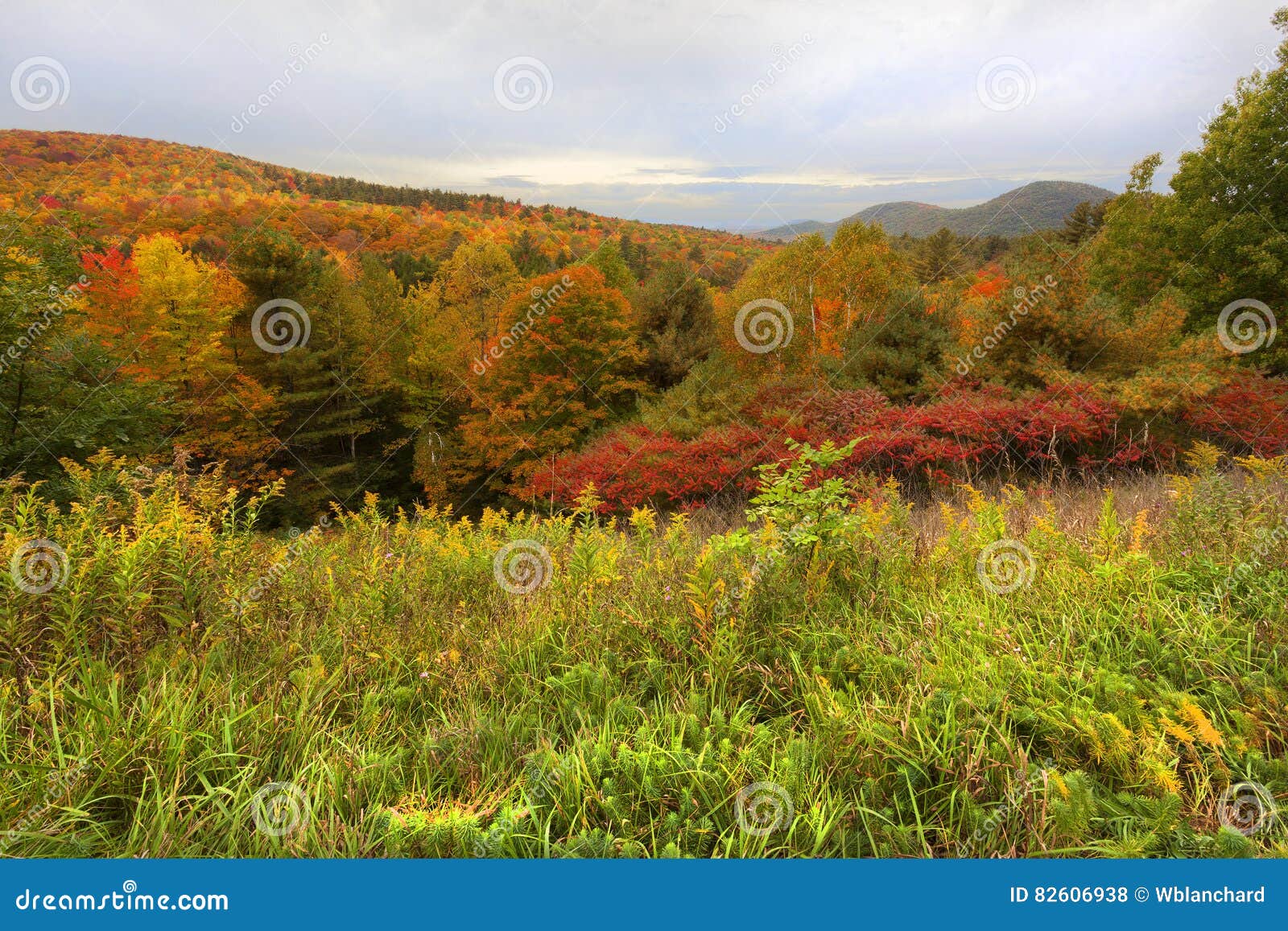 Adirondack Mountains during Autumn Stock Photo - Image of nature, hague ...