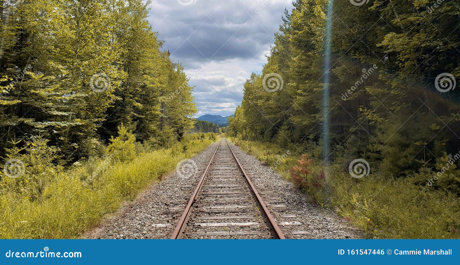 Remembering the Adirondack Train Tracks Stock Photo - Image of august ...