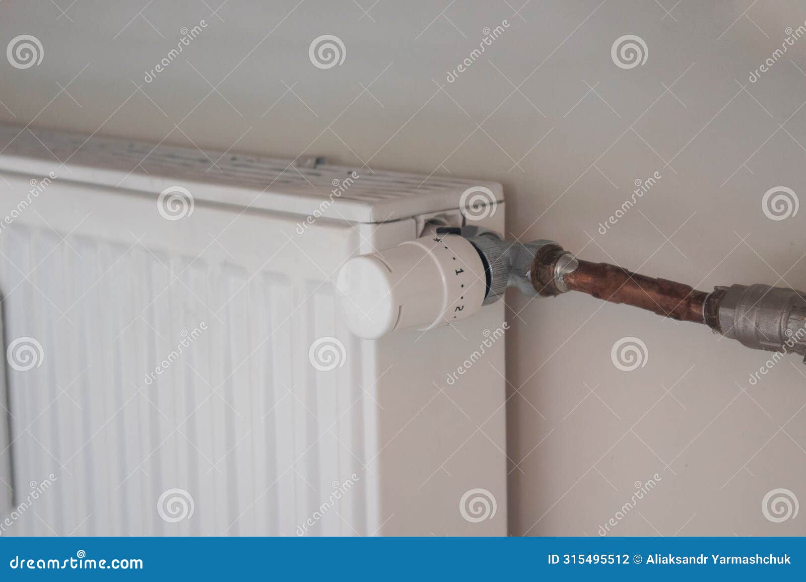 Adjusting the Radiator Temperature Using a Thermostat in an Apartment ...