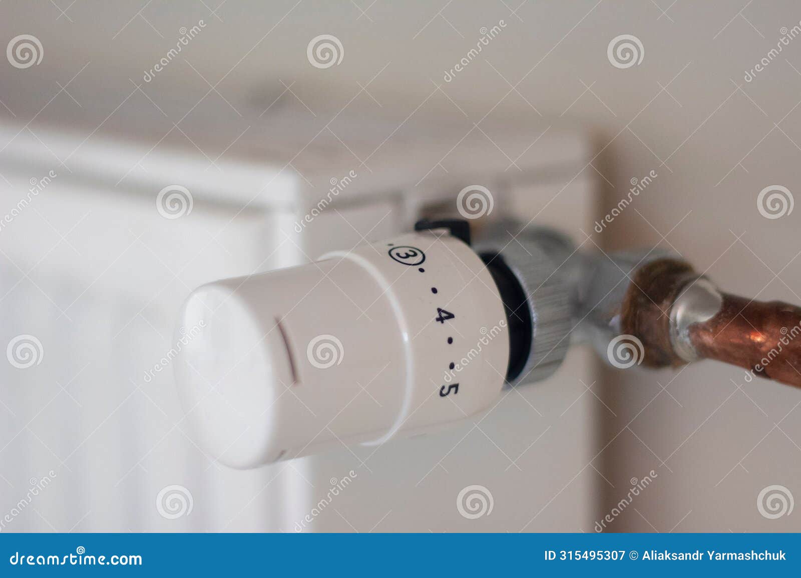 Adjusting the Radiator Temperature Using a Thermostat in an Apartment ...