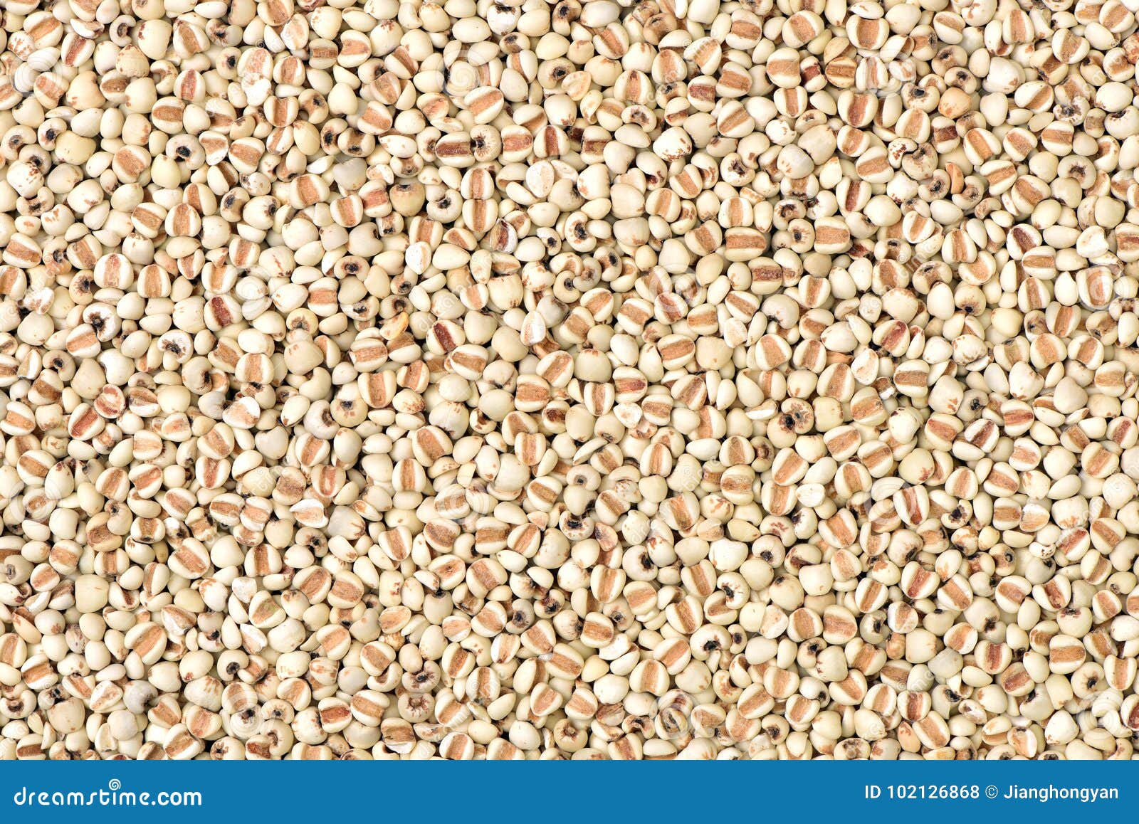 Adlay arkivfoto. Bild av kokkonst, vegetarisk, buckboarden - 102126868