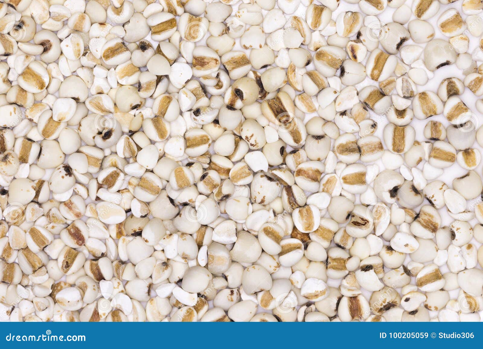 Adlay stock image. Image of buckwheat, diet, grain, background - 100205059