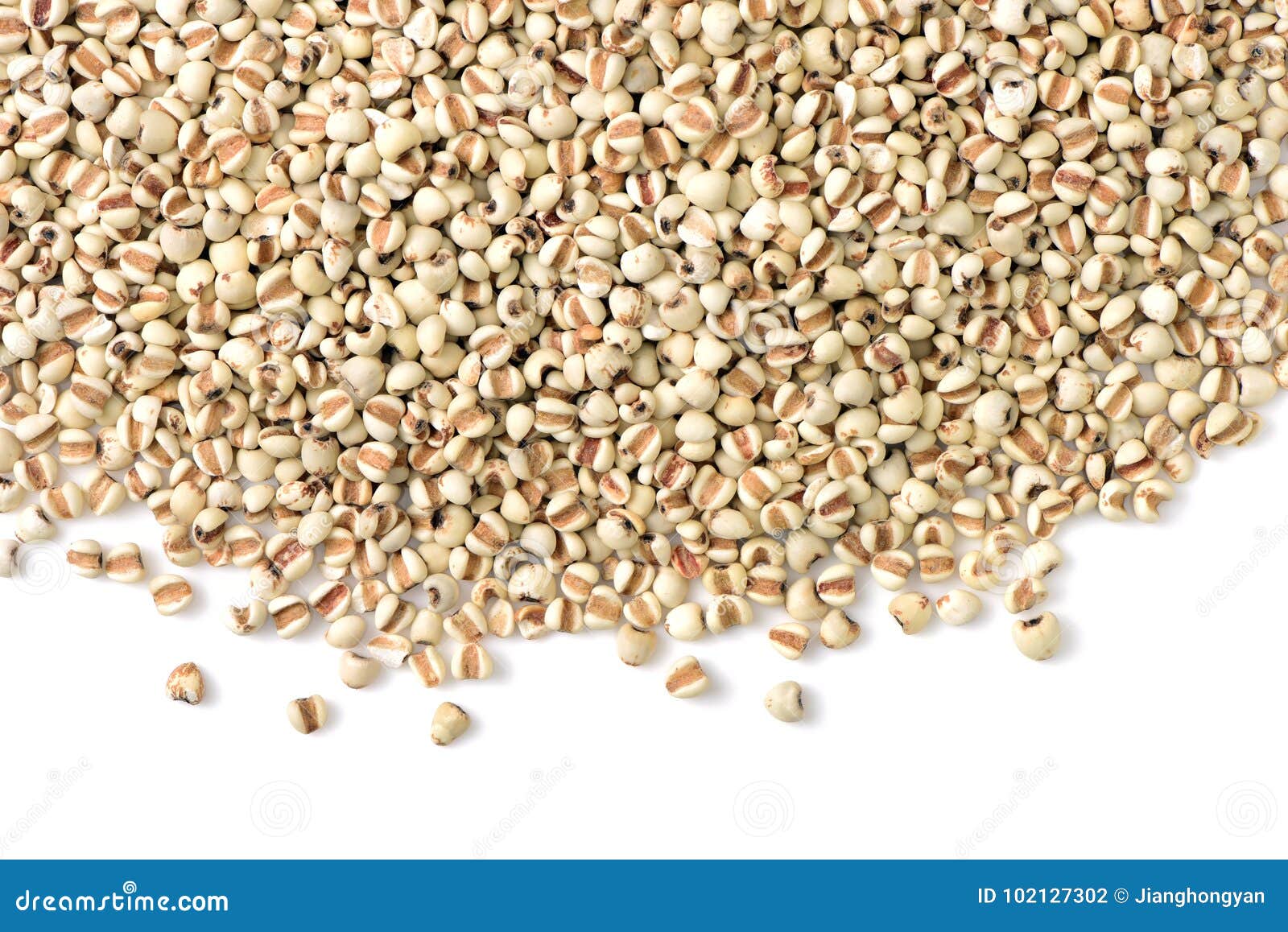 Adlay stock photo. Image of natural, wooden, healthy - 102127302