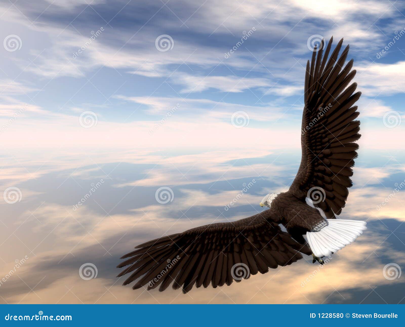 Adler-Ansteigen stock abbildung. Illustration von wolken - 1228580