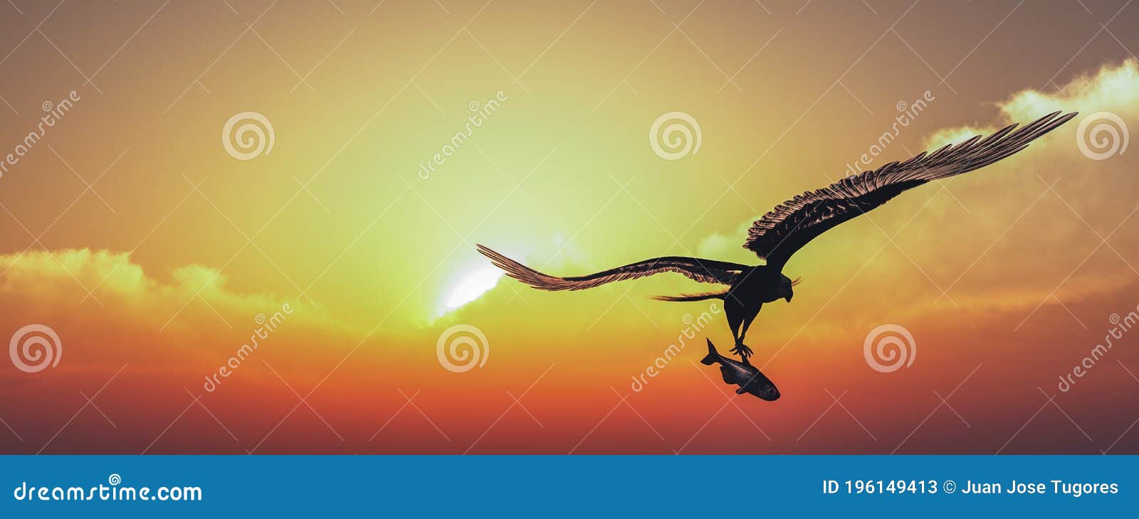 Adler, Der Im Morgengrauen in Den Wolken Fliegt Stock Abbildung ...