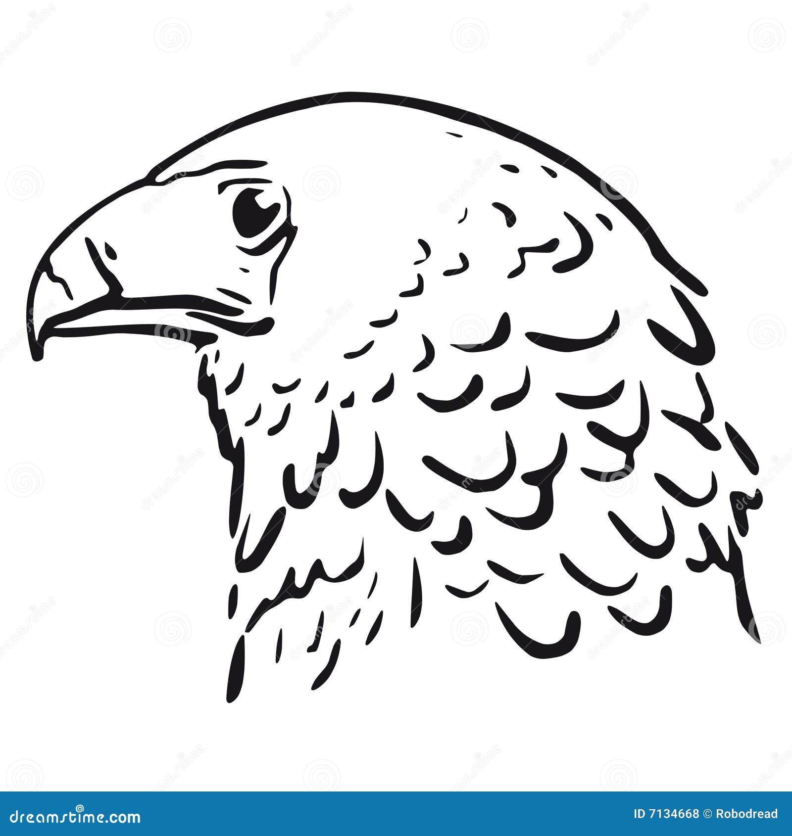Adlerkopf (Vektor) vektor abbildung. Illustration von tier - 7134668