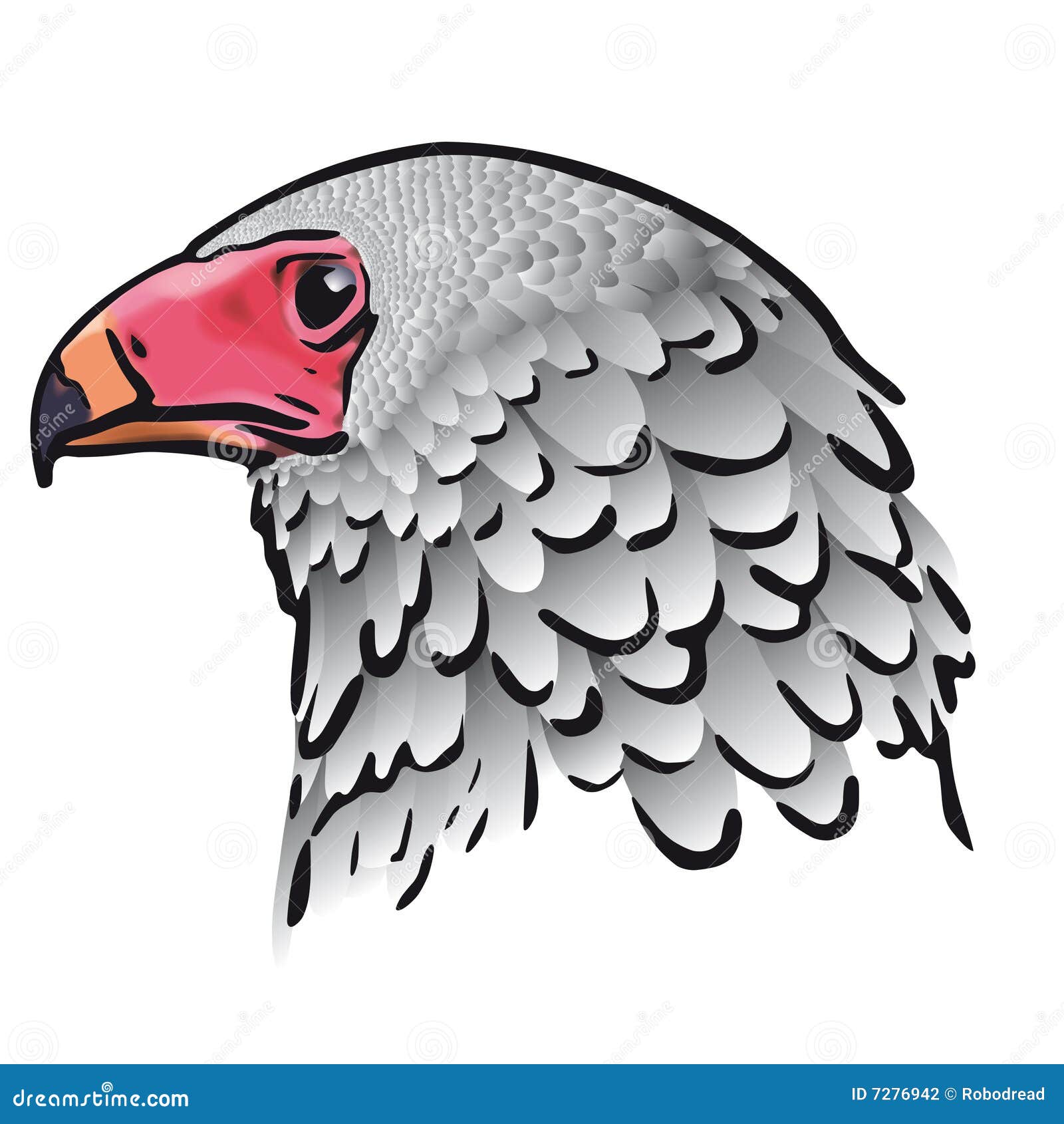 Adlerkopf (Vektor) vektor abbildung. Illustration von gefieder - 7276942