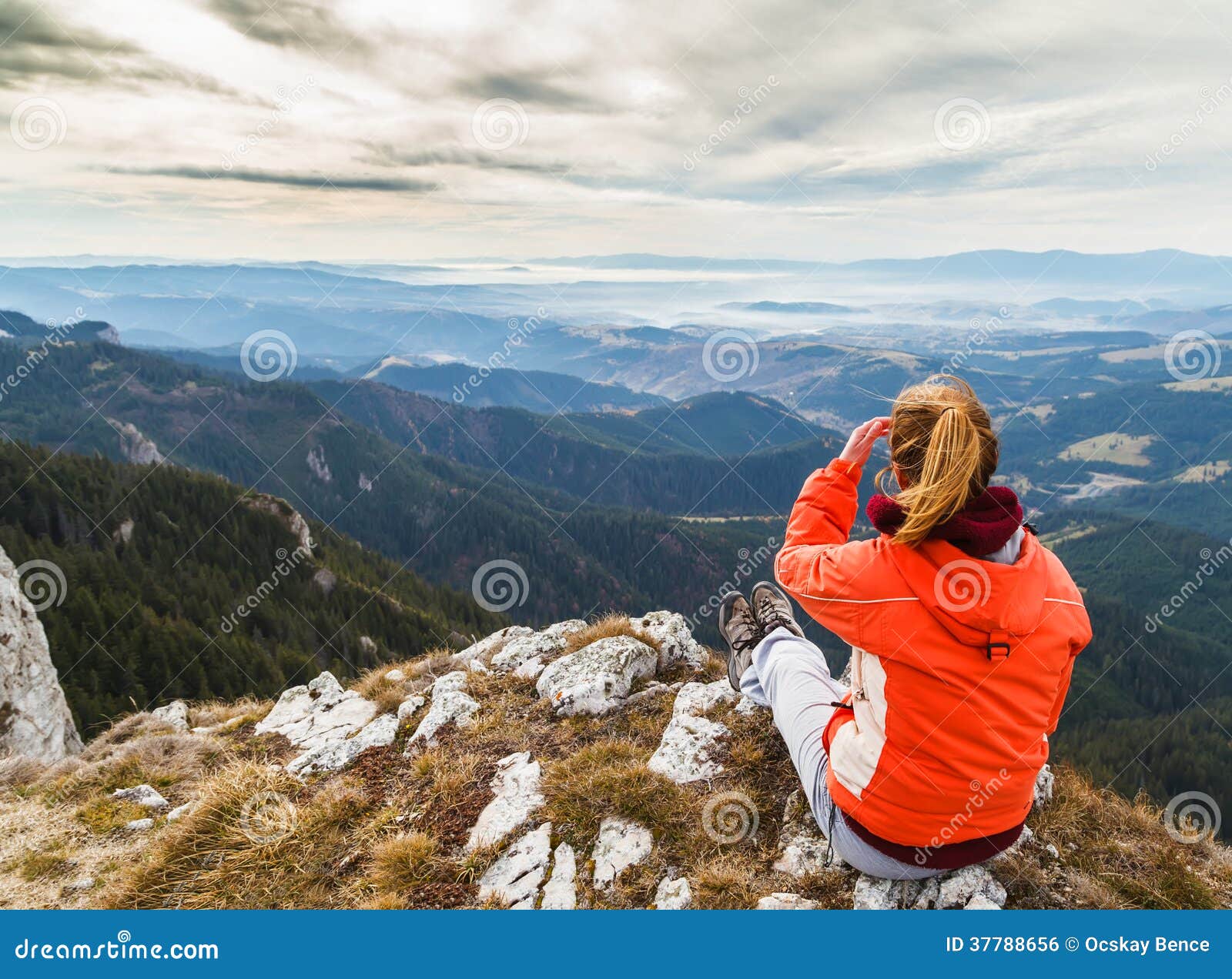 Admiring the majestic view stock photo. Image of freedom - 37788656
