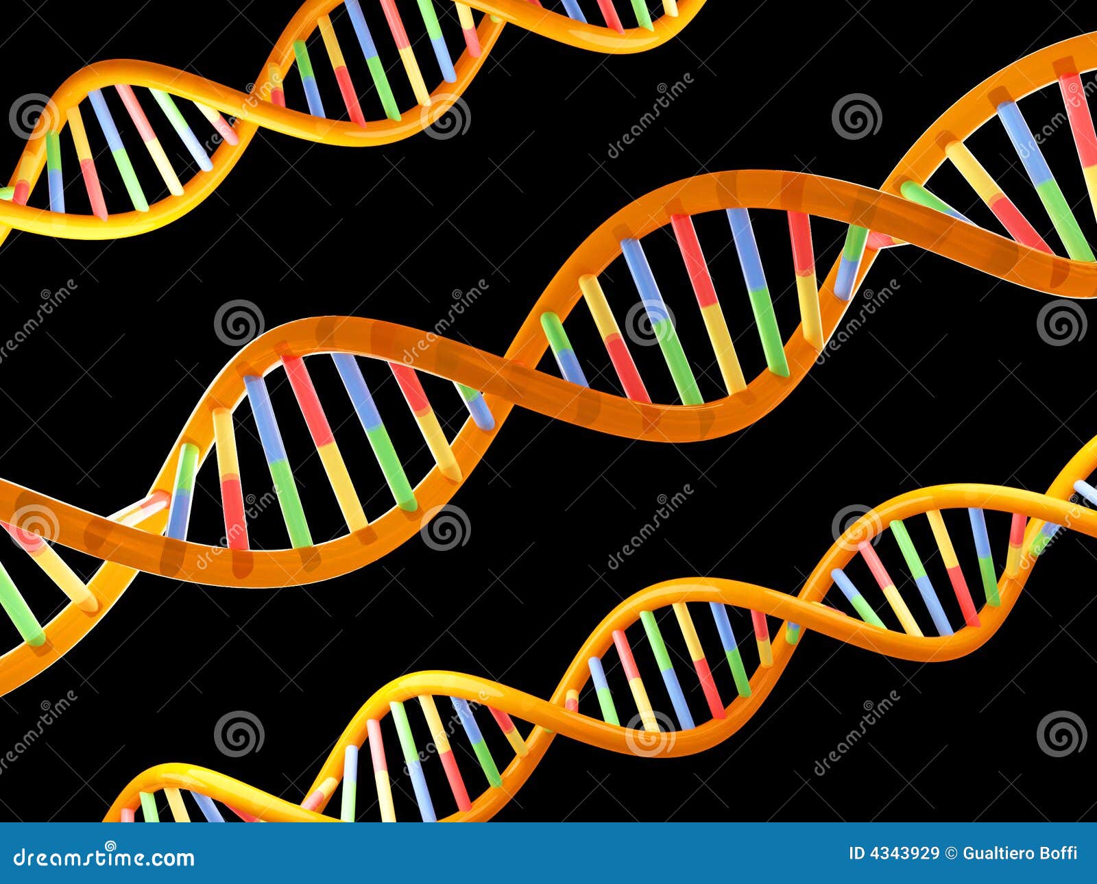 ADN illustration stock. Illustration du cloner, biologie - 4343929