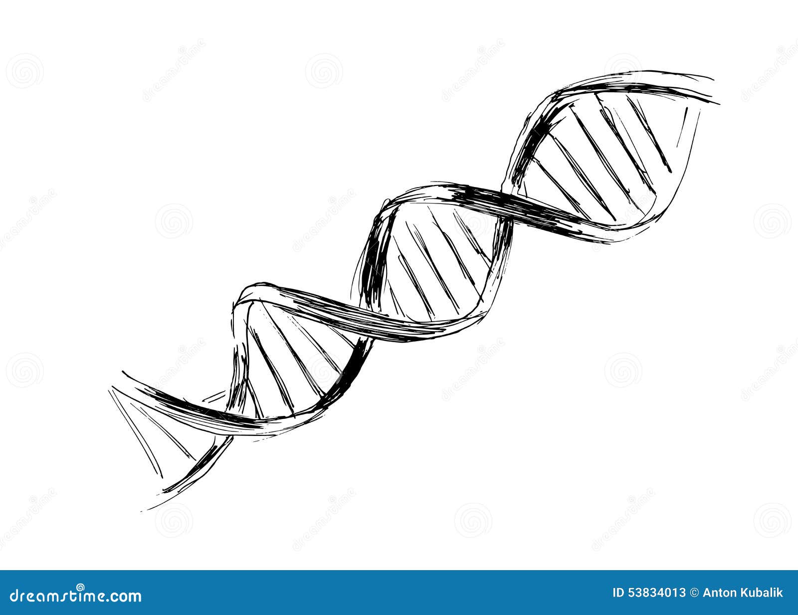 ADN illustration de vecteur. Illustration du réseau, médical - 53834013