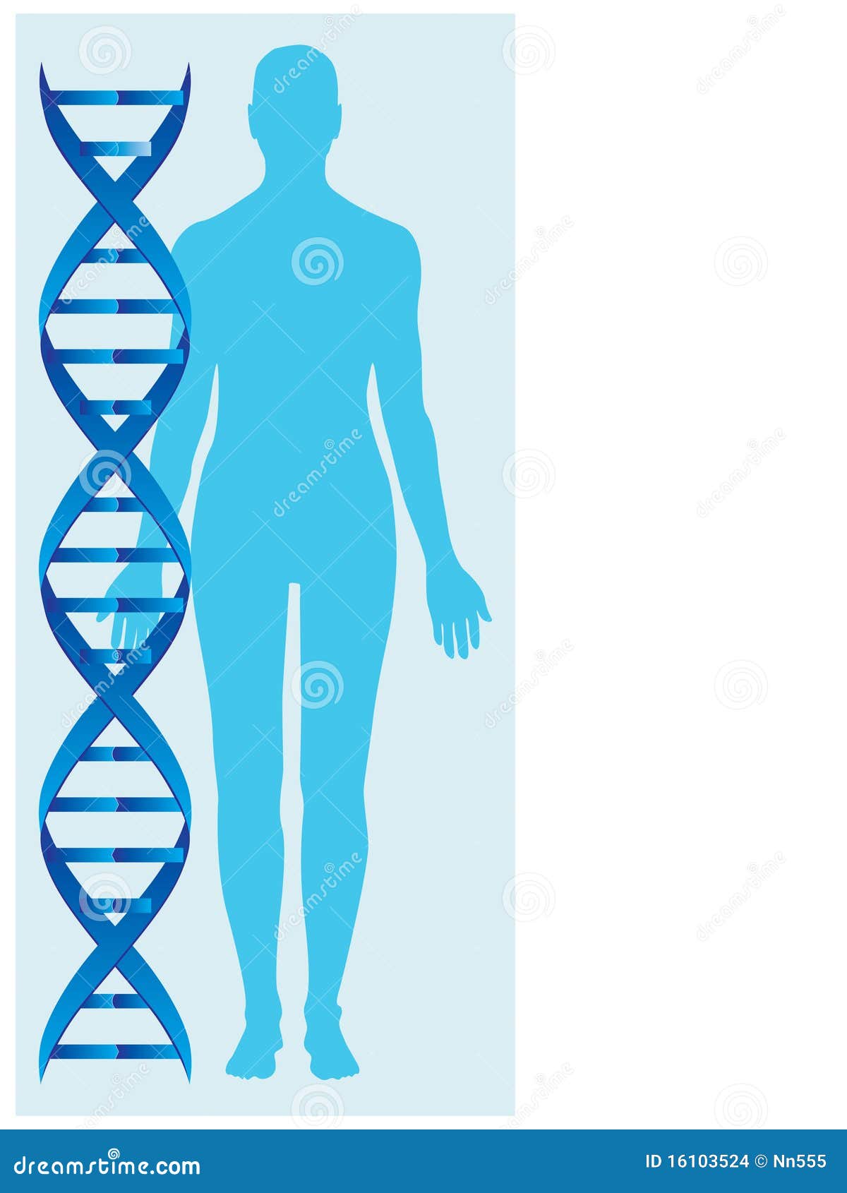 ADN et fuselage humain illustration de vecteur. Illustration du ...