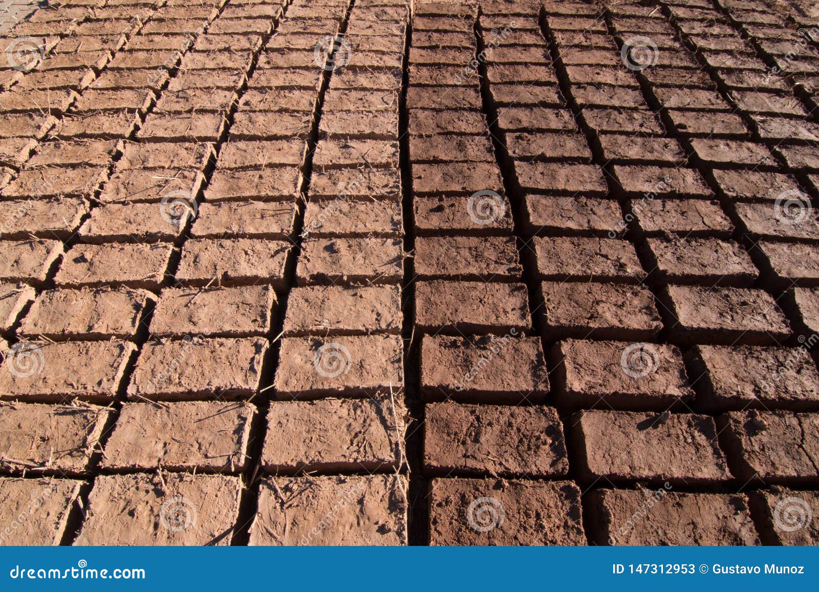 Adobe Bricks Drying in the Sun for Construction in Ouarzazate Forming a ...