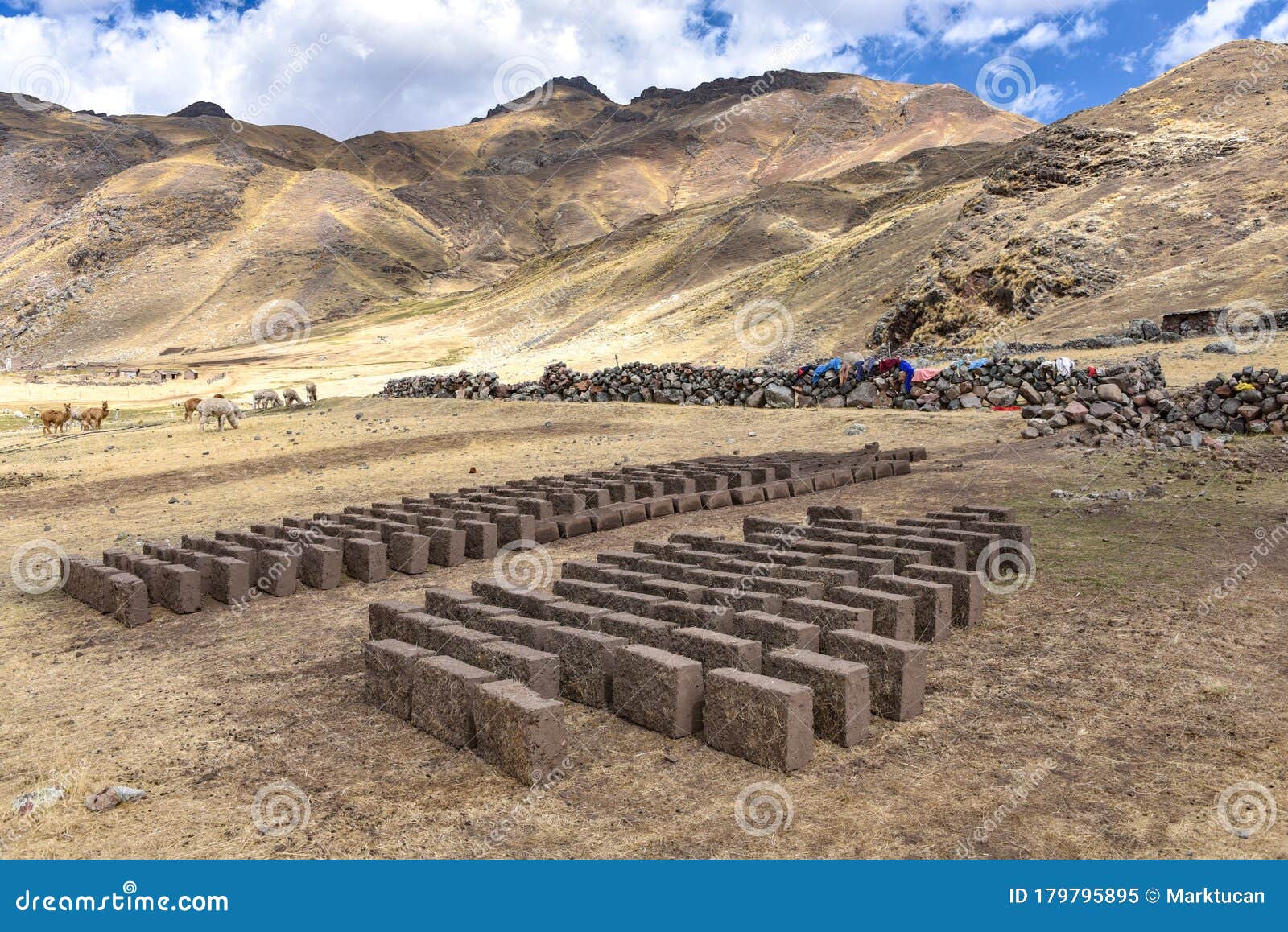 Adobe Mud Bricks Drying in the Sun. Chillca, Cusco, Peru Stock Image ...