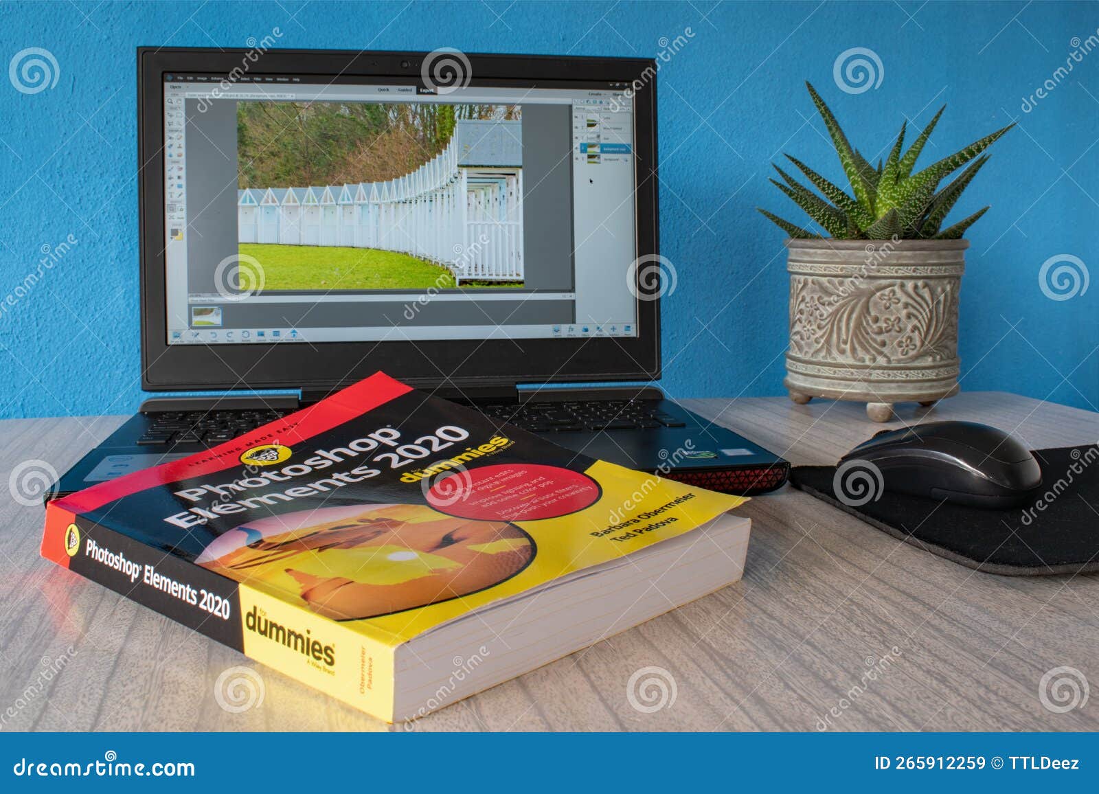 Adobe Photoshop Elements for Dummies Book. Editorial Stock Image ...