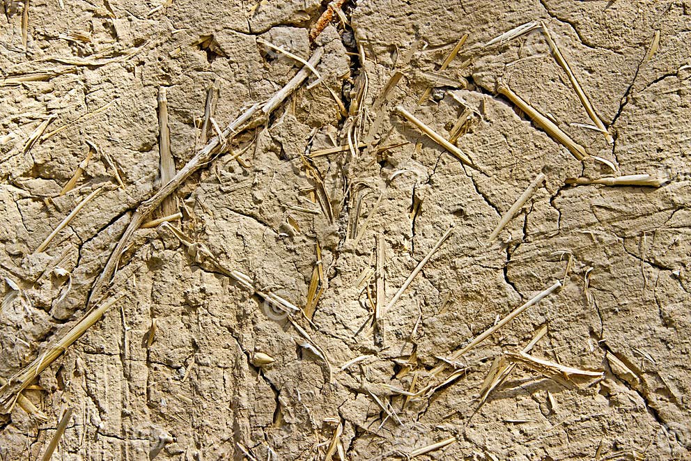 Adobe texture stock photo. Image of wall, adobe, clay - 24289286