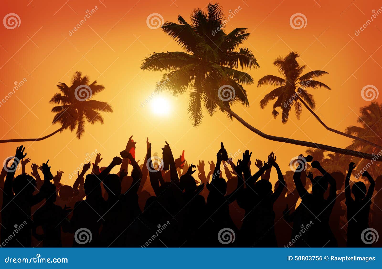 Adolescence Summer Beach Party Outdoors Community Ecstatic Stock Photo ...