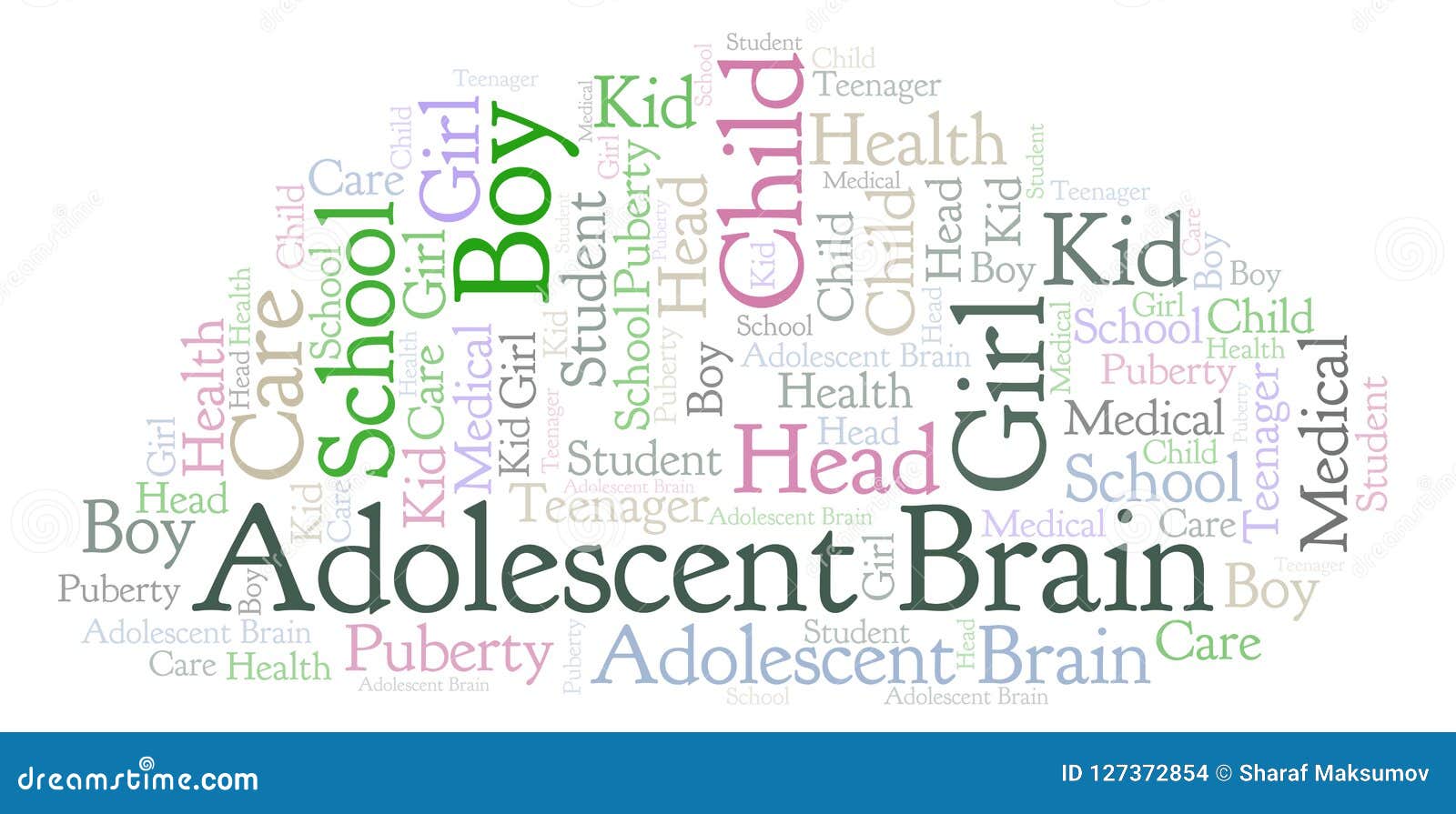 Adolescent Brain Word Cloud. Royalty-Free Stock Photography ...