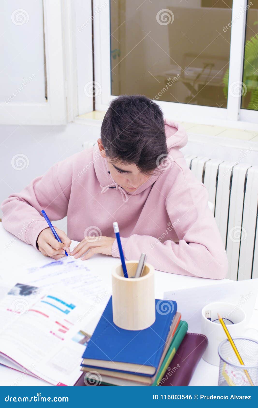 Adolescent Student on the Desk Stock Photo - Image of caucasian ...