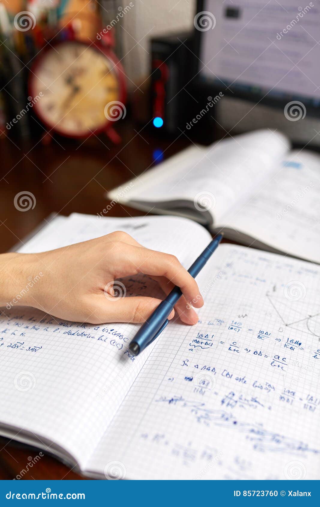 Adolescente Che Fa Compito Con Il Computer Fotografia Stock - Immagine ...