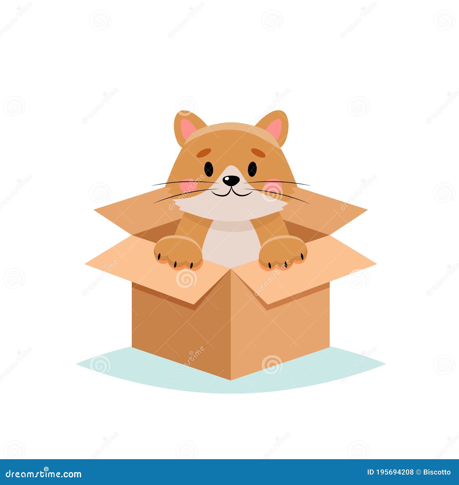 Adopt a Pet - Cute Cat in a Box, Isolated on White Background Stock ...
