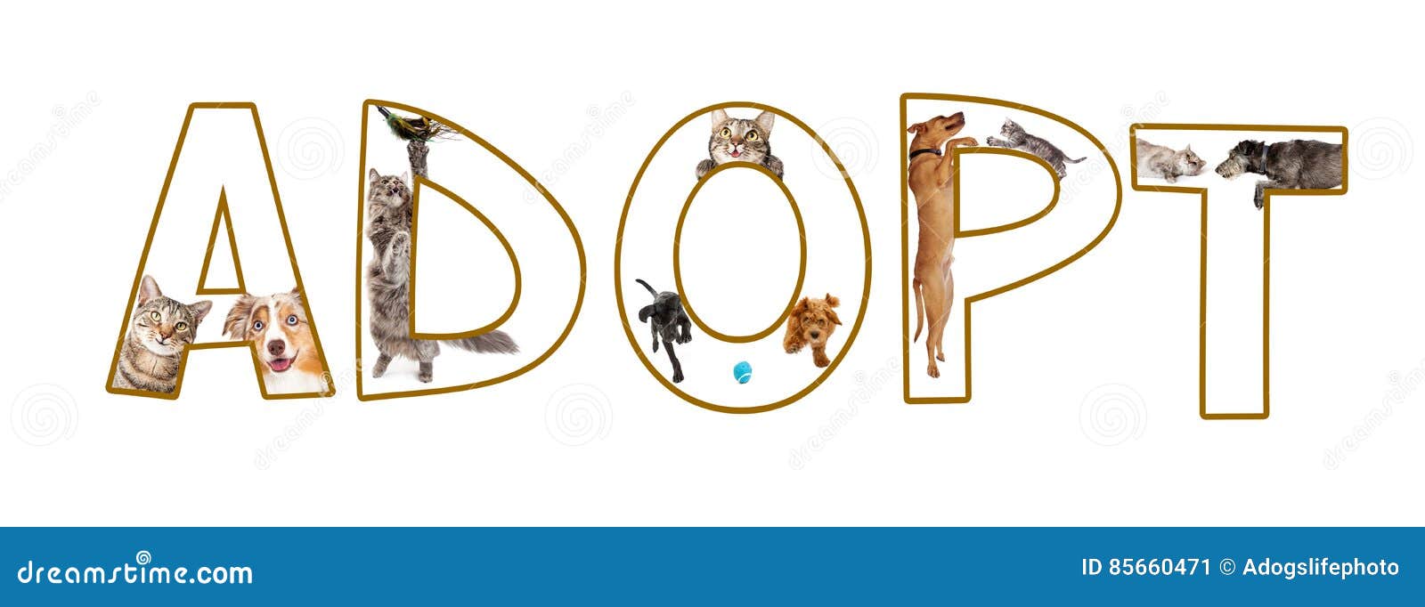 Dog And Cat Adopt Us Royalty-Free Stock Photography | CartoonDealer.com ...