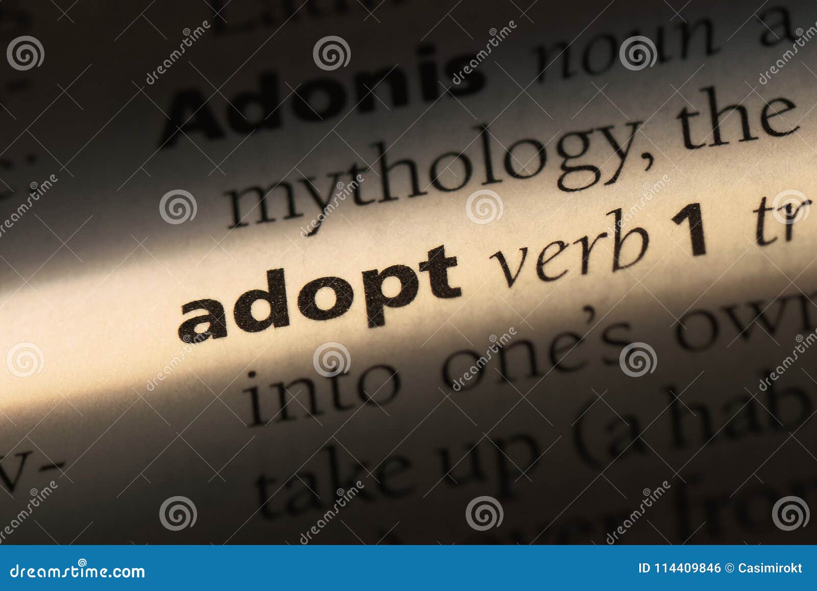 Adopt stock photo. Image of dictionary, book, word, definition - 114409846