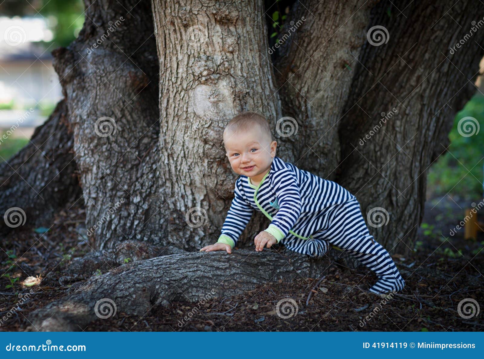 Adorable Baby Boy Crawling on the Roots of a Huge Tree Stock Image ...