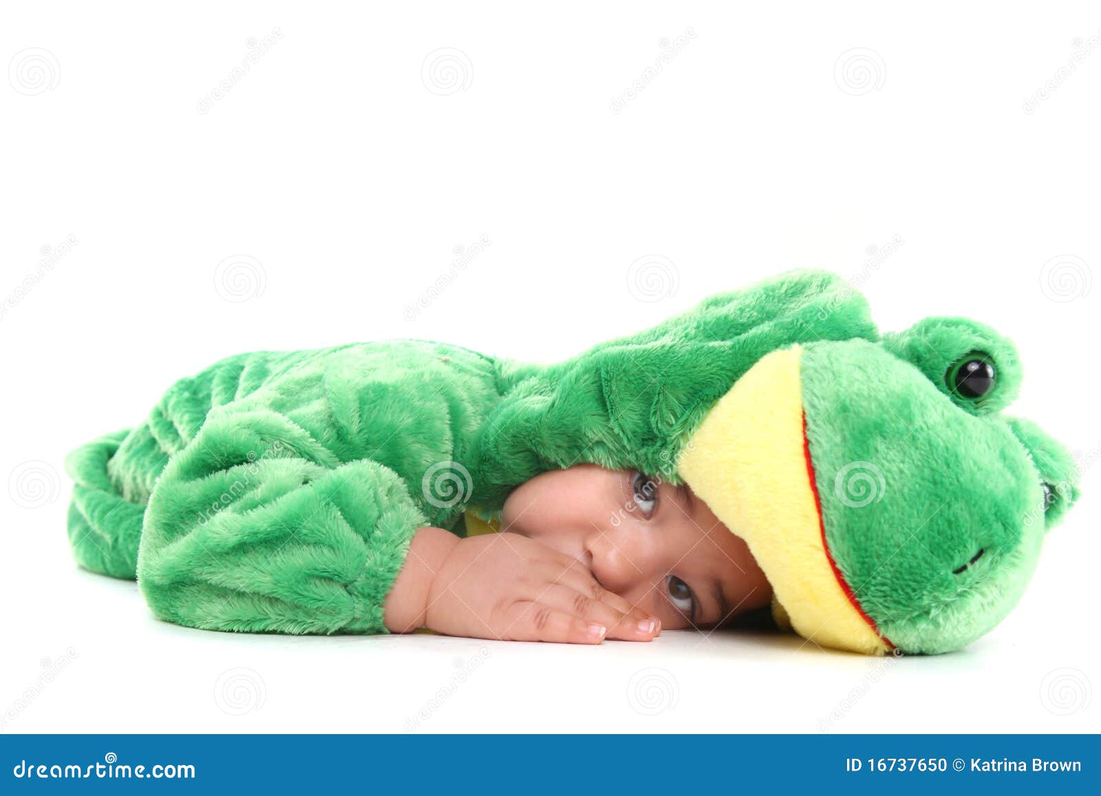 Adorable Baby Boy Dressed As a Frog Stock Photo - Image of toddler ...