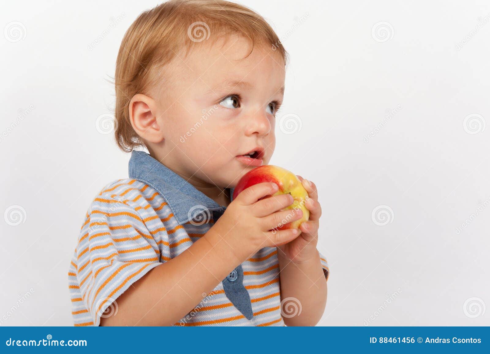 Adorable baby eating apple stock photo. Image of sitting - 88461456