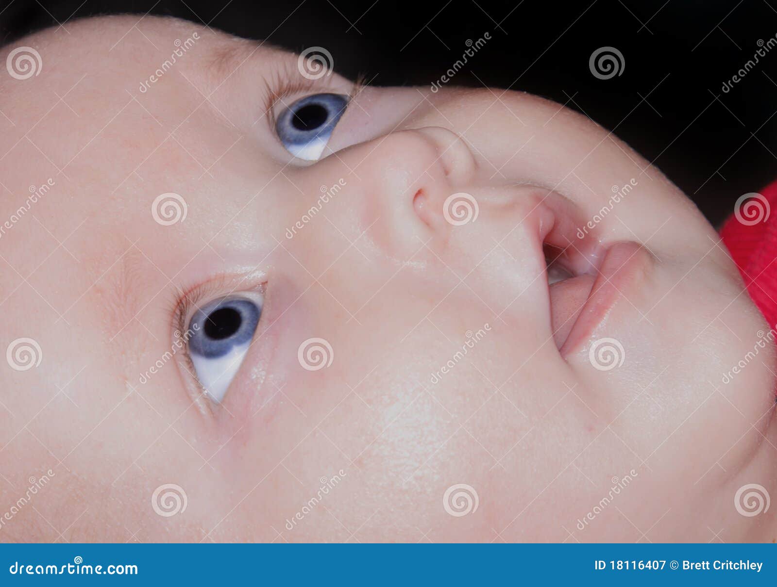 Adorable baby girl face stock image. Image of blue, baby - 18116407