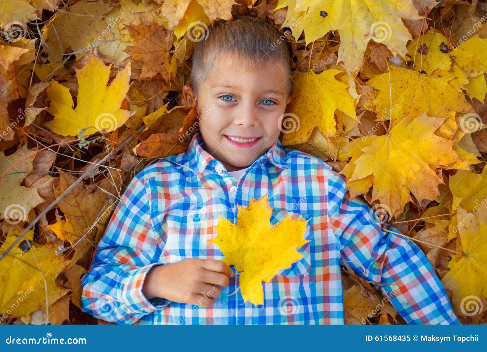 Adorable Boy in Autumn Park Stock Image - Image of outdoors, september ...