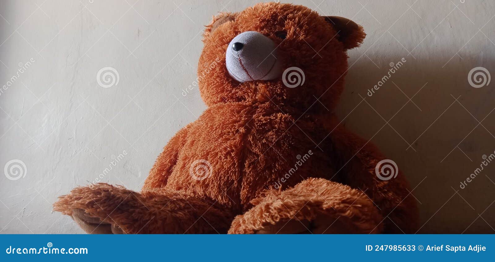 Adorable Brown Teddy Bear Photography Stock Image - Image of wool, pink ...