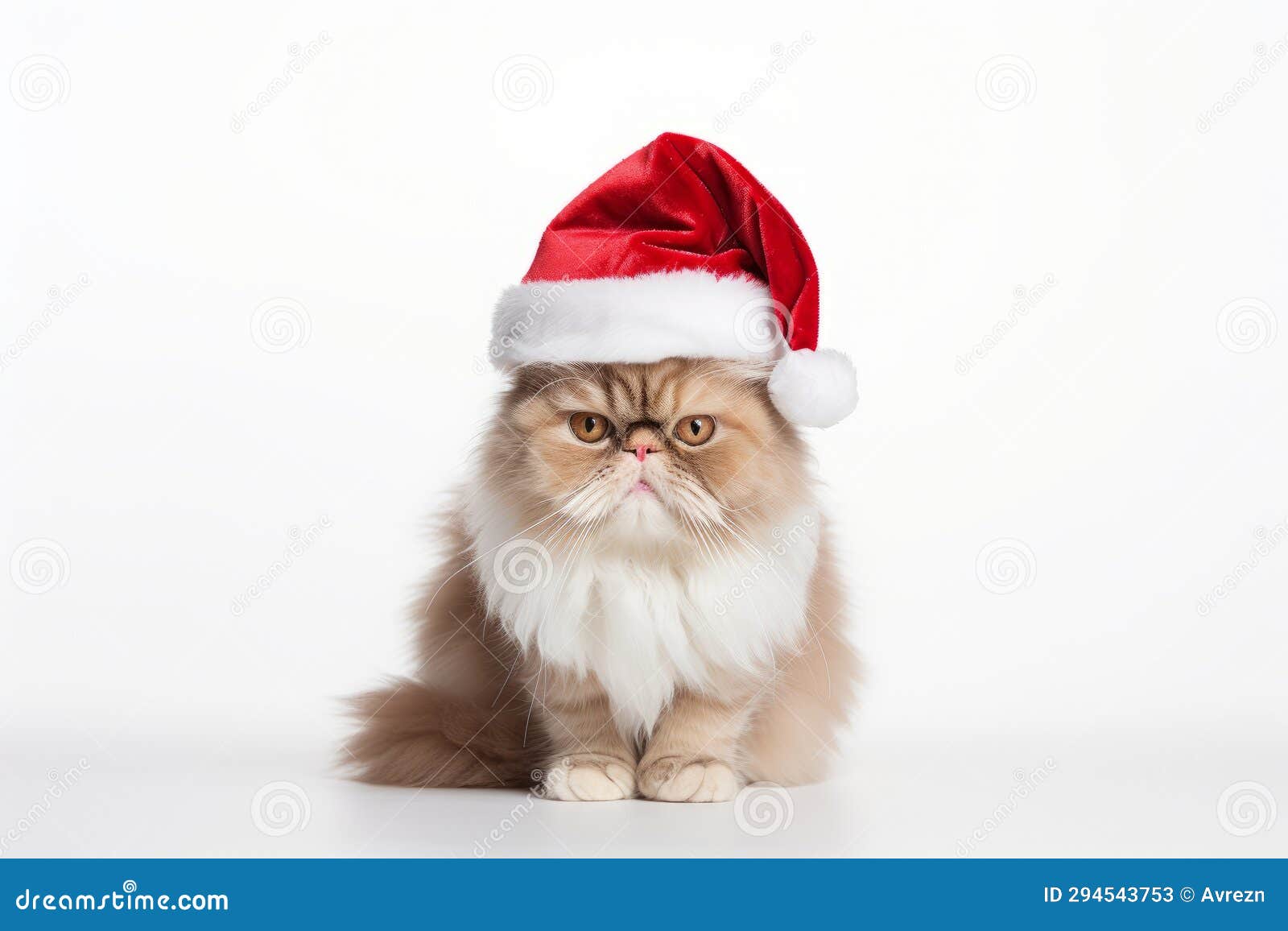 Adorable Cat In Santa Claus Costume Brings Holiday Cheer Generative Ai