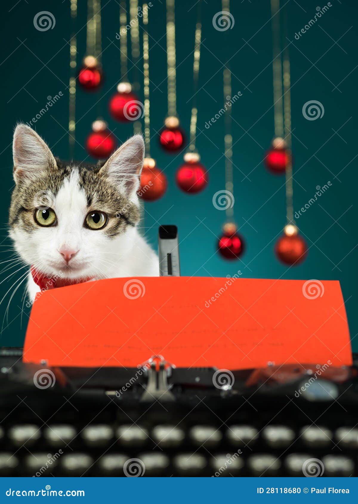 Adorable Cat with Typewriter Stock Photo - Image of globes, text: 28118680