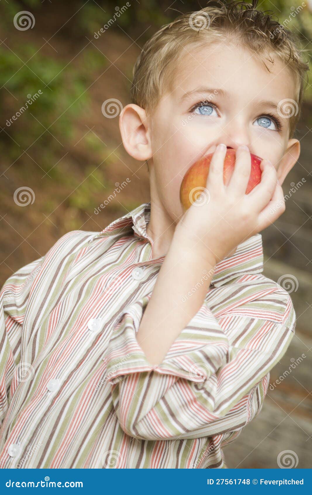 Adorable Child Boy Eating Red Apple Outside Stock Photo - Image of ...