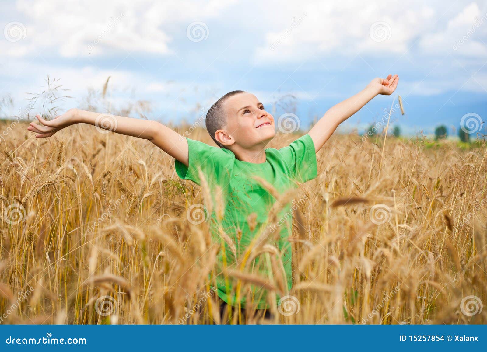 Adorable Child in a Wheat Field Stock Photo - Image of cultivated ...