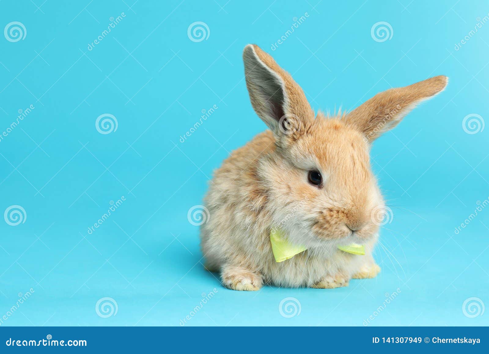 Adorable Furry Easter Bunny with Cute Bow Tie on Color Background Stock ...